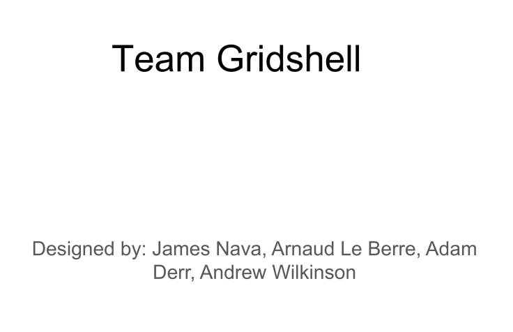 Gridshell – Timber Tectonics in the Digital Age