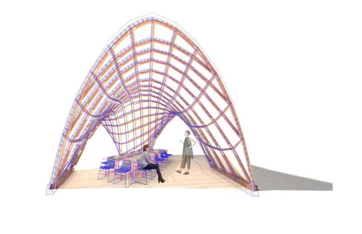 Gridshell – Timber Tectonics in the Digital Age