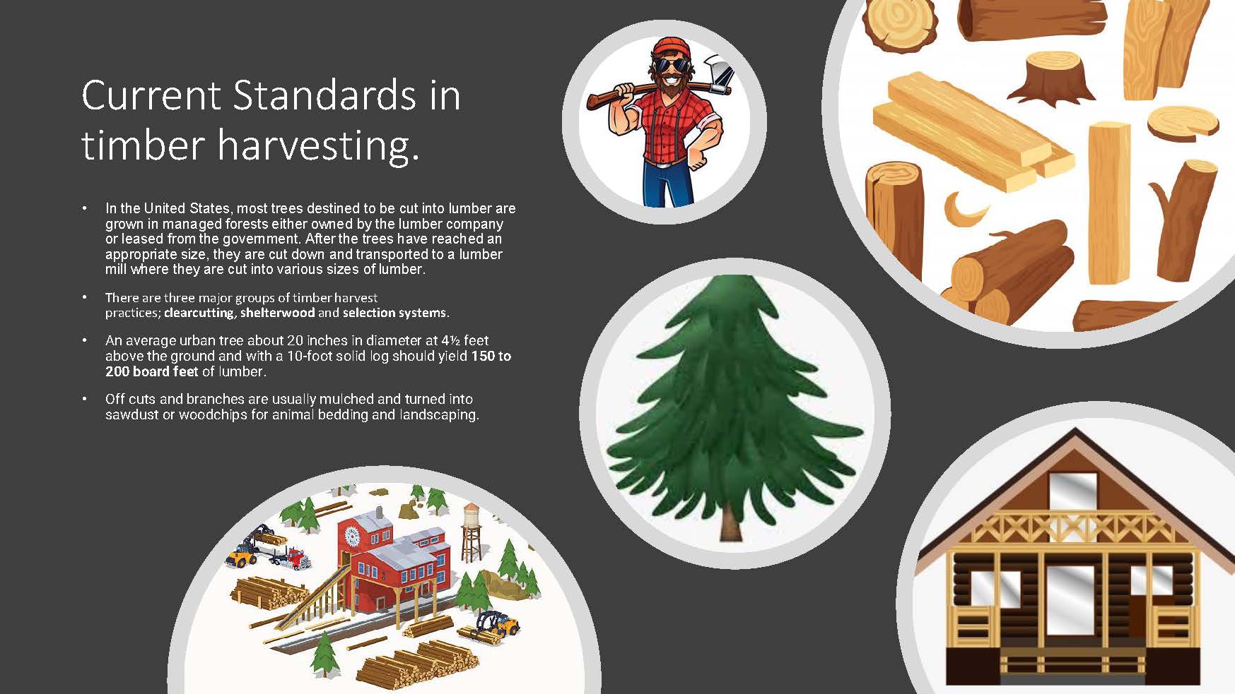 AI-Assisted Construction – Timber Tectonics in the Digital Age