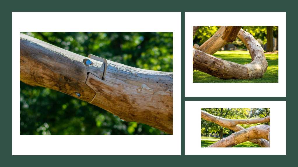 AI-Assisted Construction – Timber Tectonics in the Digital Age