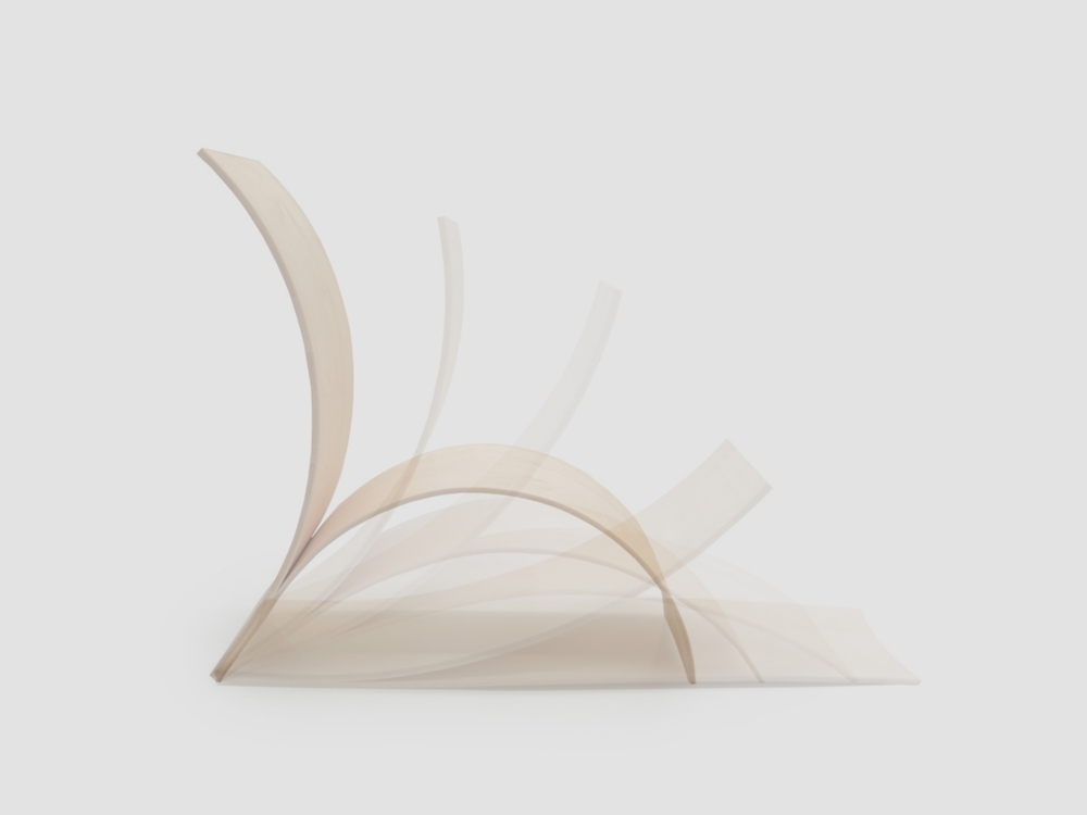 HygroShape: Self-Shaping Structures from ICD/ITKE – Timber Tectonics in ...